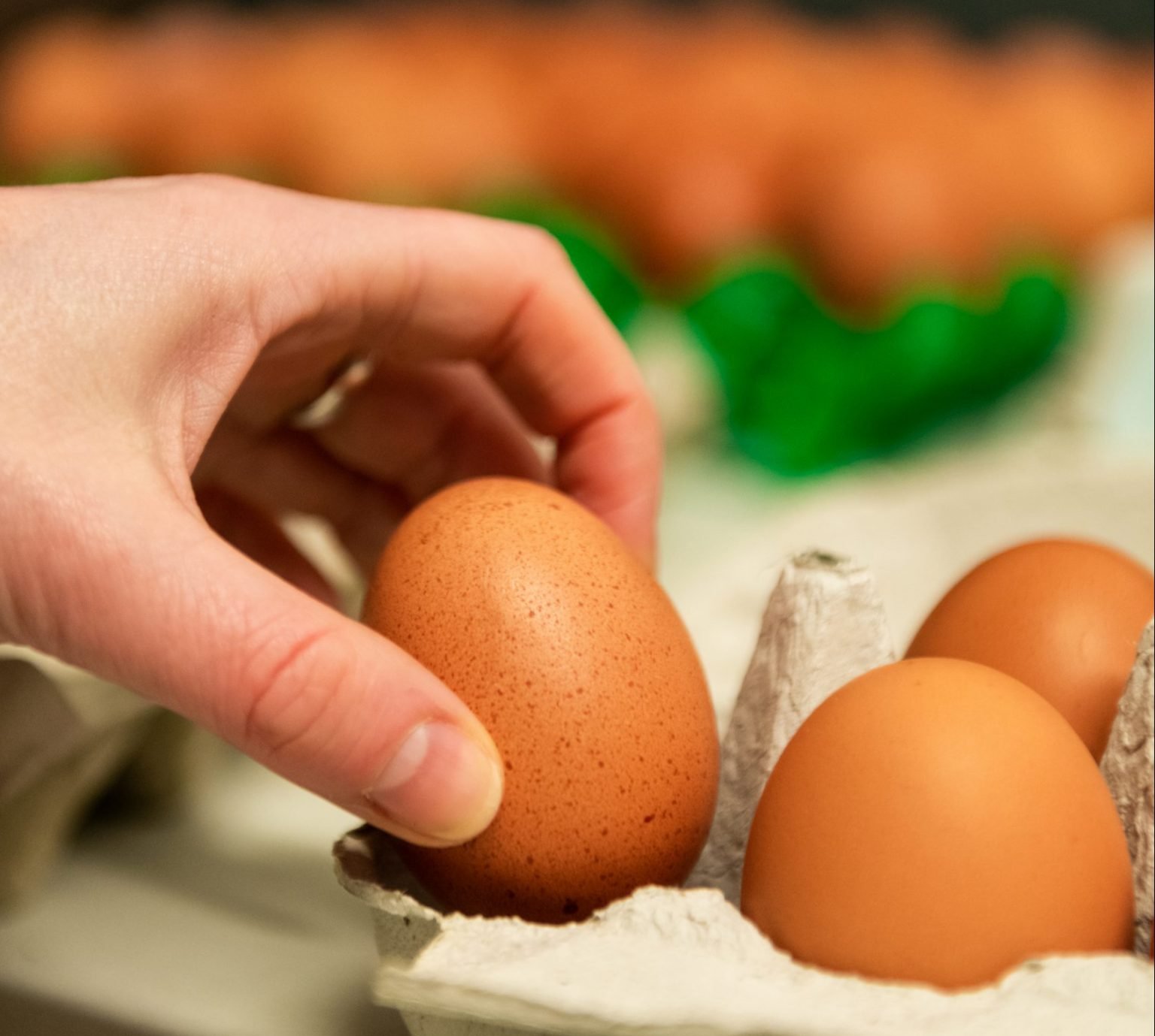 Organic Eggs vs Regular Eggs – what’s the difference? - Honestly Farm ...