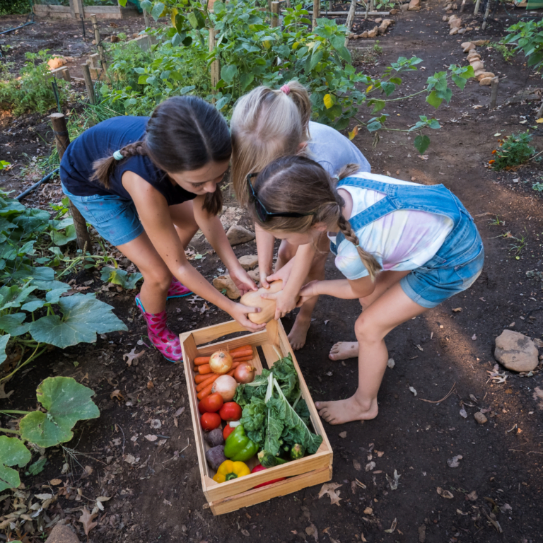 Learning all about Organic Food & Farming! - Honestly Farm Kitchen